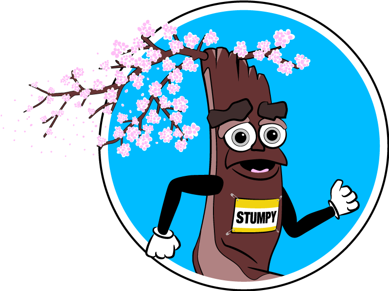 Meet Stumpy | Credit Union Cherry Blossom